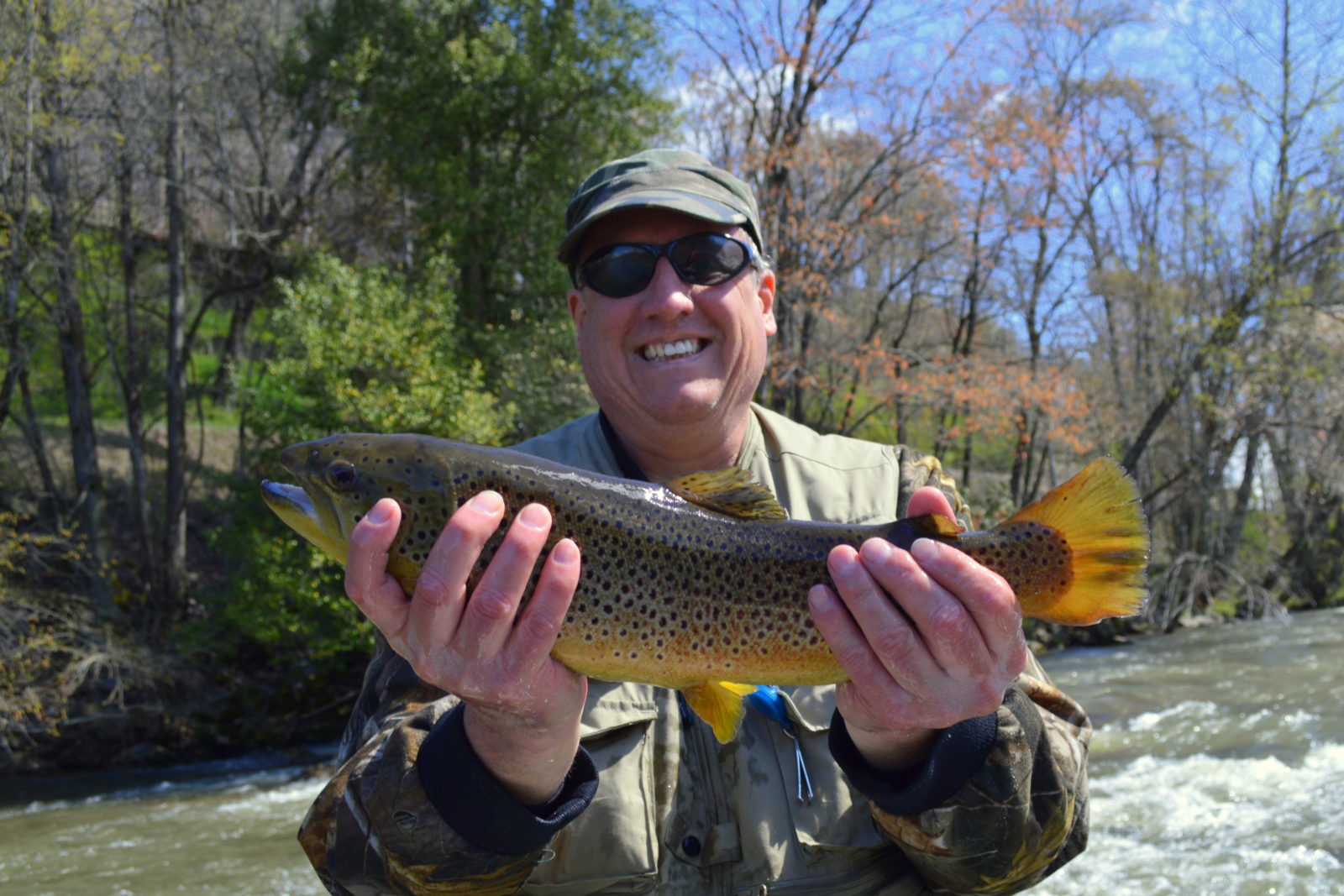 Brown trout Gallery, Smoky Mountain Fly Fishing Guides and Trips