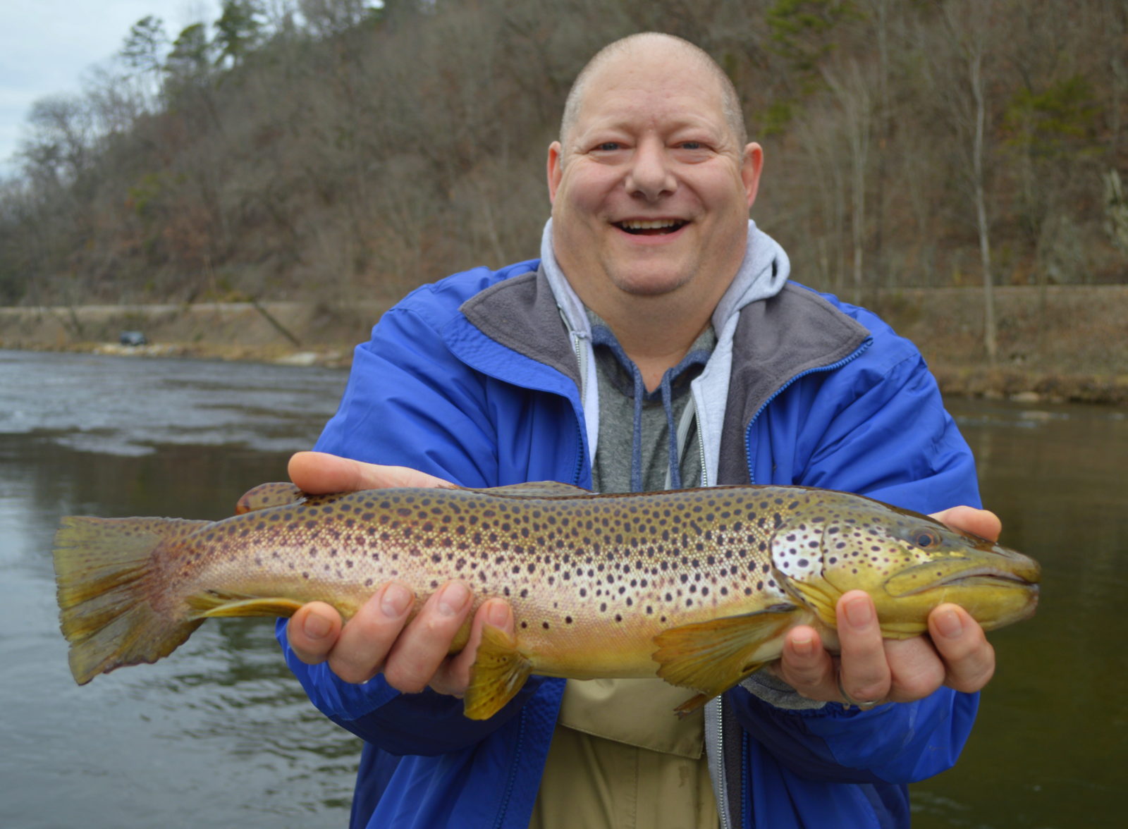 Brown trout Gallery, Smoky Mountain Fly Fishing Guides and Trips