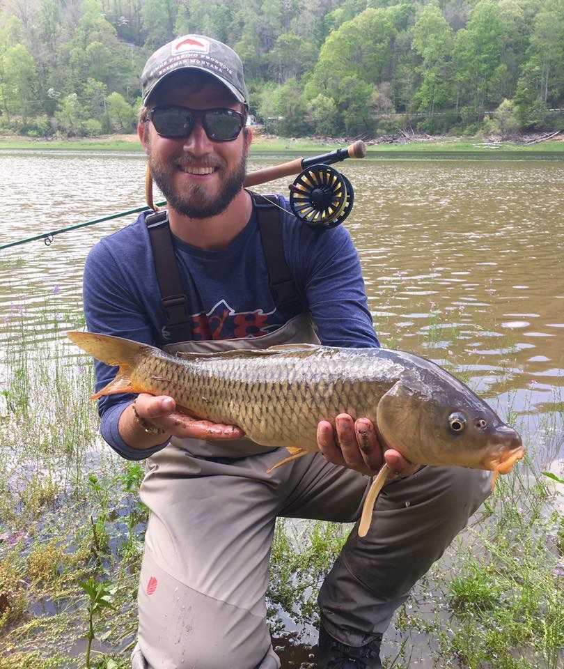 Carp Photo Gallery, Carp Fly Fishing Trips in North Carolina and Tennessee