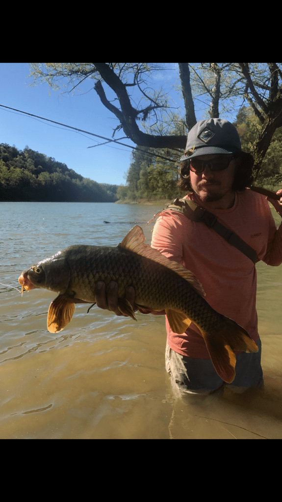 Carp Photo Gallery, Carp Fly Fishing Trips in North Carolina and Tennessee