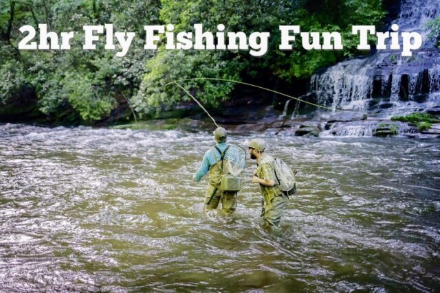 Fly Fishing Fun Trip, 2hr Guided Fly Fishing near Gatlinburg, Bryson City